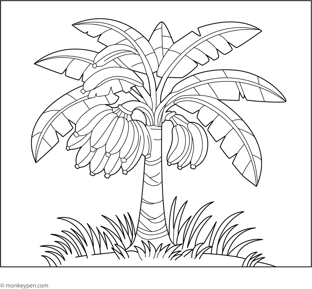 Free Printable Banana Tree Coloring Page for Kids