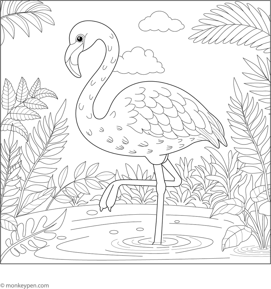 Printable Flamingo Coloring Book