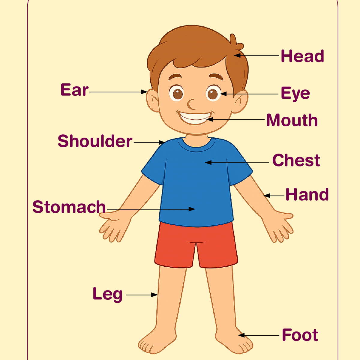 Human Body Parts Educational Poster for Children – Printable Learning
